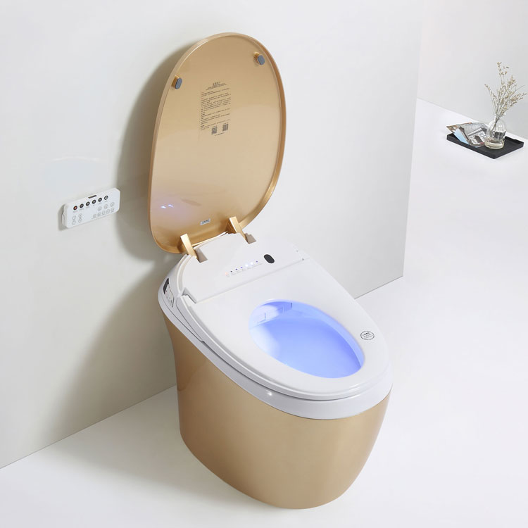 Auto cleaning functional automatic smart toilet
