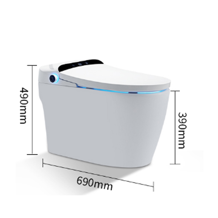 Bathroom smart toilet with remote control