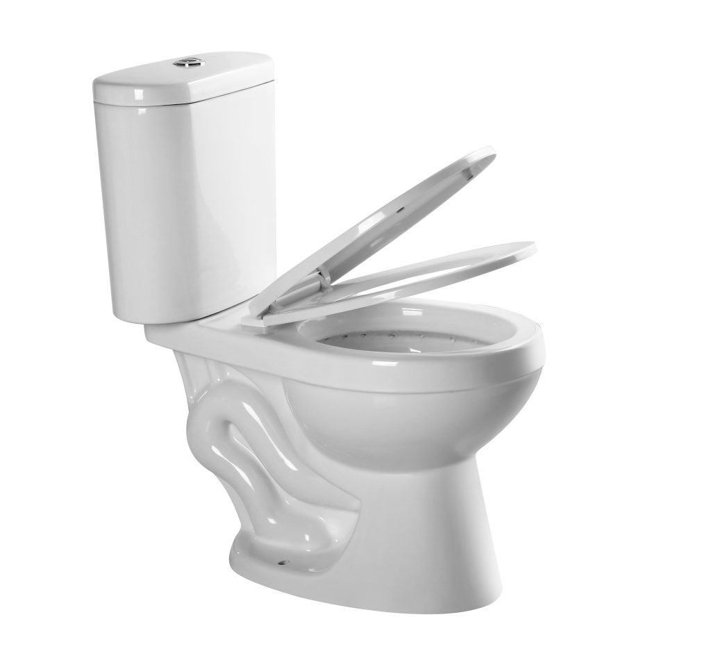 Ceramic siphonic and washdown ceramic toilet