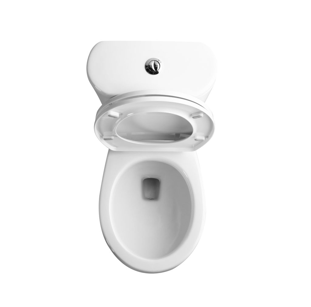 Ceramic siphonic and washdown ceramic toilet