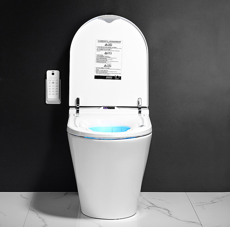 High-tech automatic tankless smart toilet