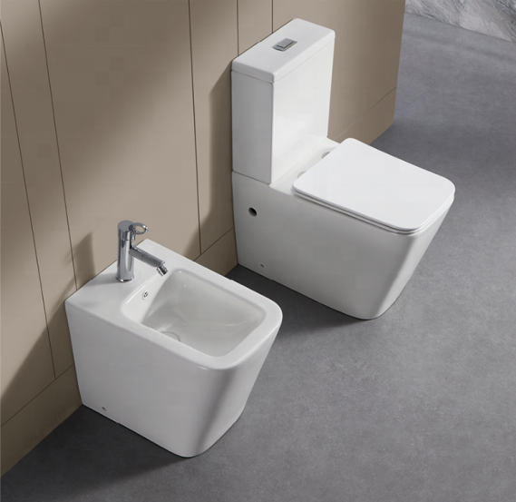 New design modern sanitary ceramic toilet