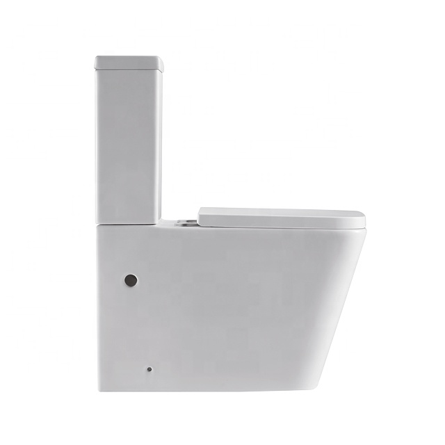 New design modern sanitary ceramic toilet