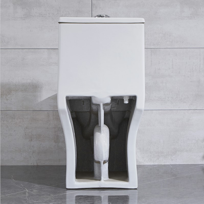 Water saving dual flush ceramic toilets